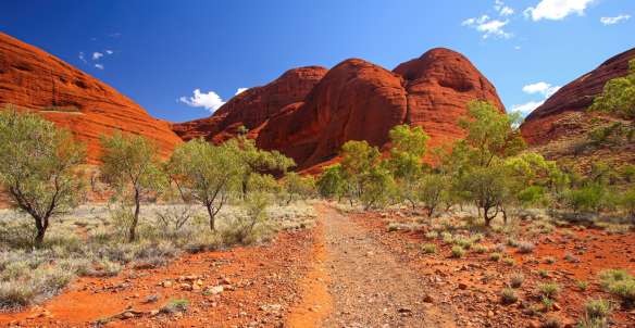 Mengenal Urutan Musim di Australia & Waktunya