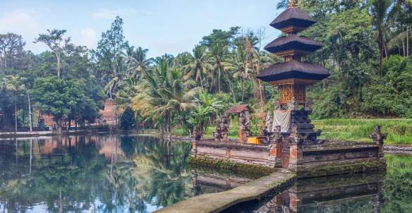 10 Nasi Khas Bali yang Buat Santapan Jadi Lebih Nikmat!