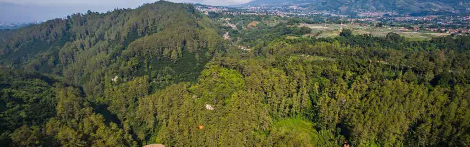 Bukit Embun Lampung Barat: Daya Tarik dan Info Menarik Lainnya!