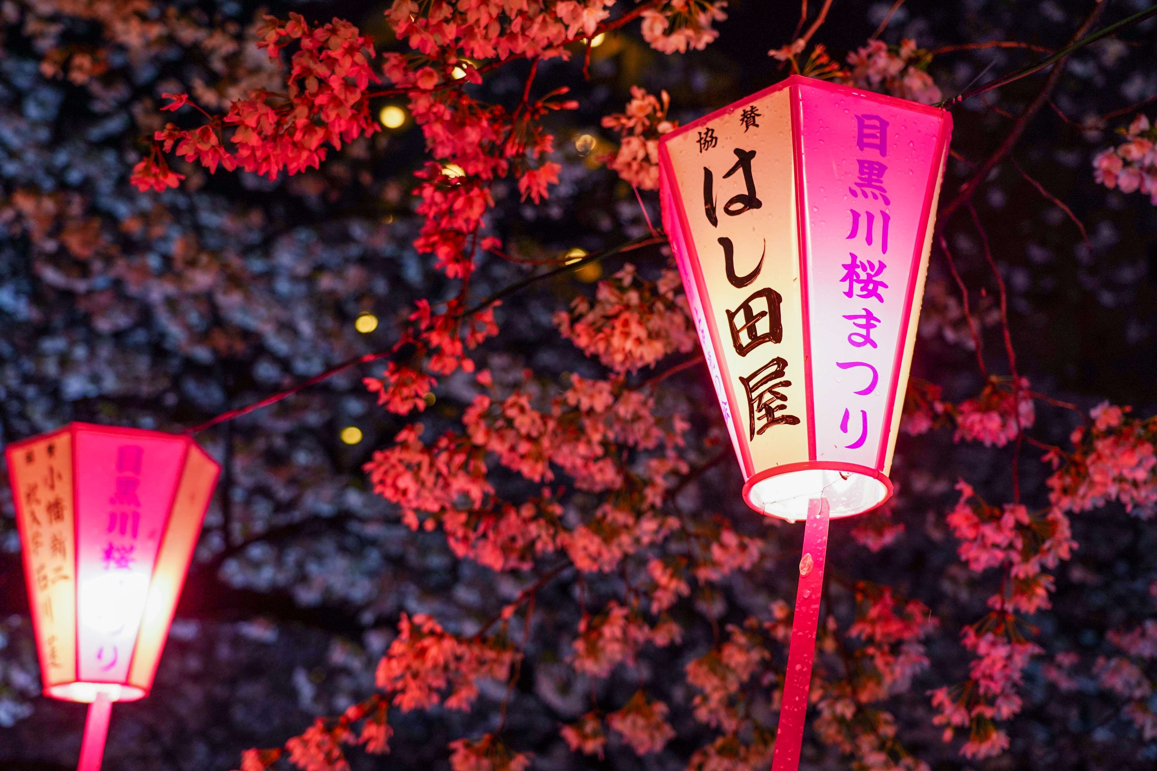 Japan Silver Week 2026: What It Is, When It Is, and What to Expect
