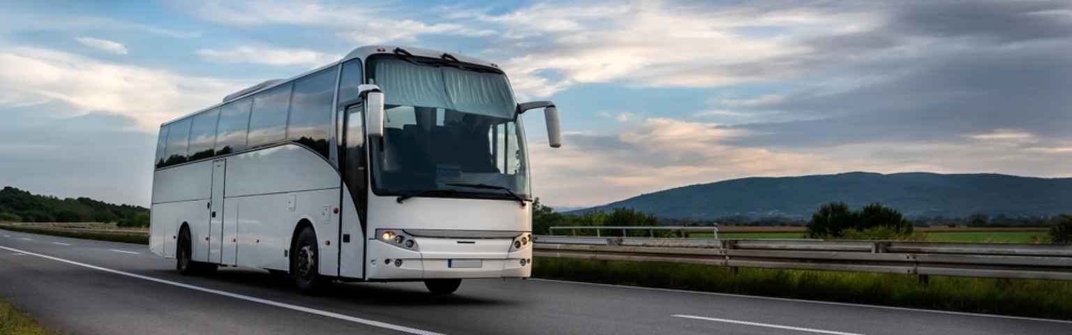 Perbedaan Bus Patas dan Bus Ekonomi, dari Kursi hingga Fasilitas