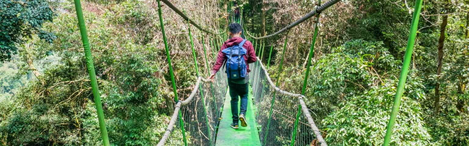 Bukit Lawang Jungle Trekking: Jalur & Estimasi Biaya