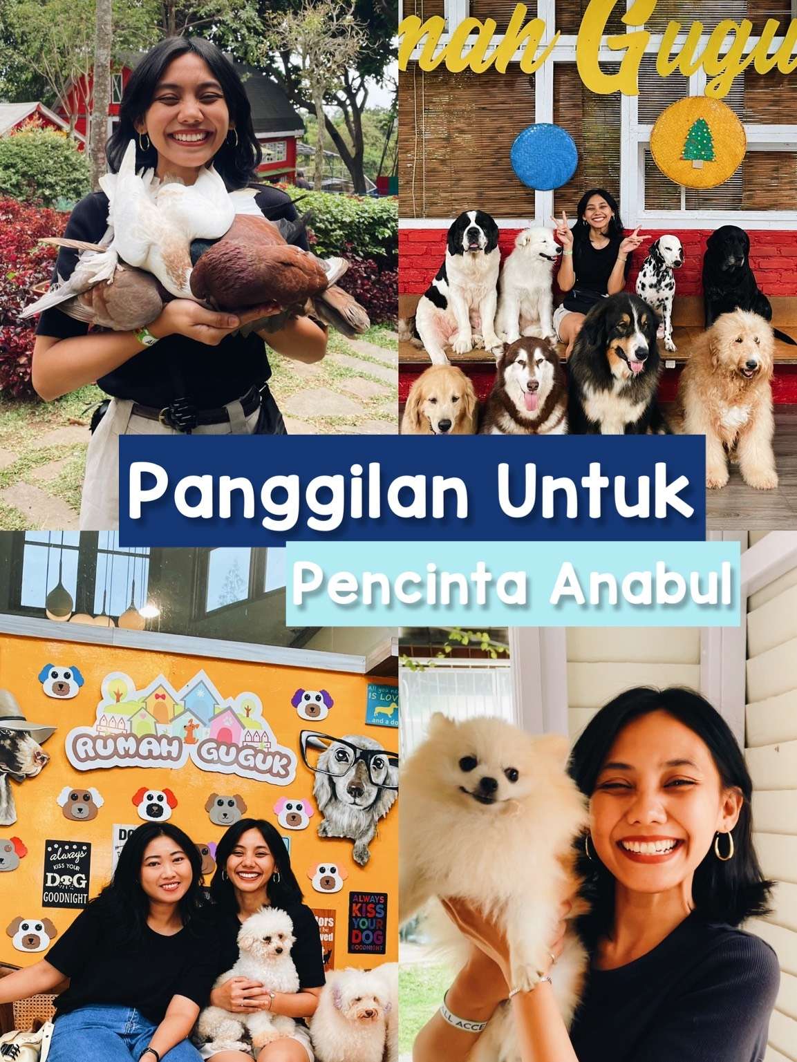 Tiket Rumah Guguk - Harga Mulai Rp 70.000