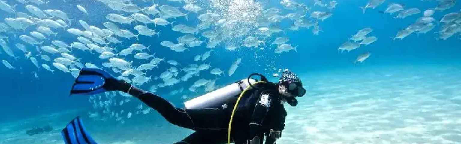 5 Spot Diving di Belitung Terbaru & Terpopuler