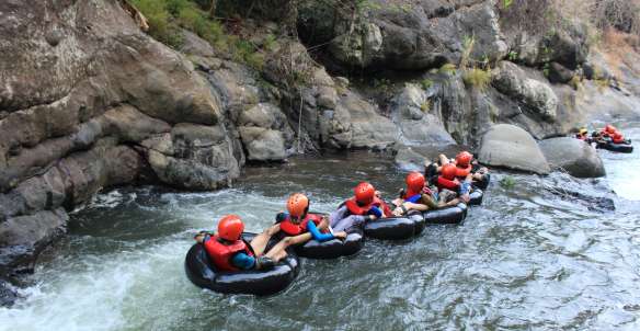 Ketahui Urutan Raja Inggris dari Pertama, Lengkap & Menarik!