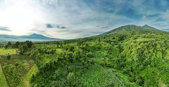 Mengenal Negara Guam: Sejarah, Geografi hingga Wisata!