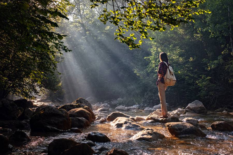 Rute, Lokasi & Fasilitas Trekking Cisadon Sentul
