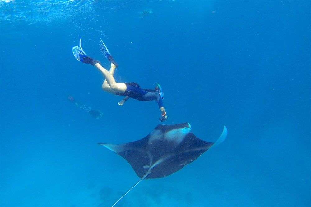 6 Wisata Pantai di Sekitar Pulau Rupat, Penuh Keindahan Alam