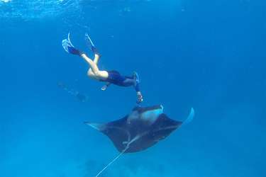 Info Lengkap Rute Kereta Whoosh dari Jakarta ke Bandung & Daftar Stasiun