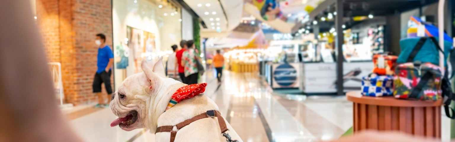 Pet Friendly Mall Singapore – Shopping with Your Furry Friends