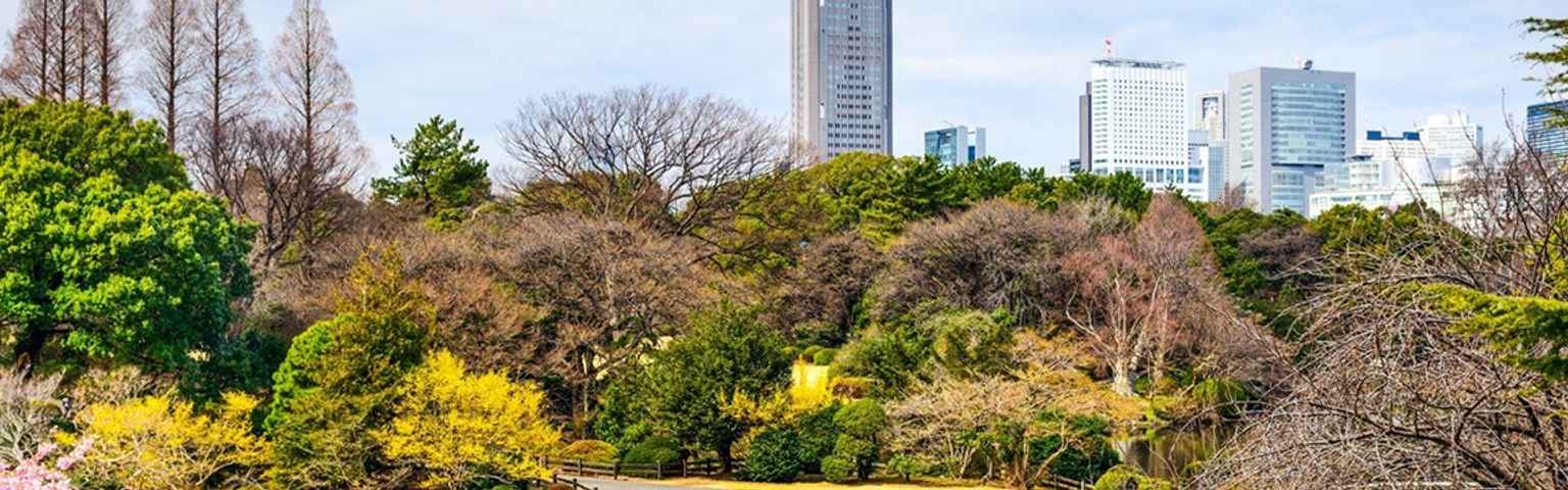 Shinjuku Gyoen National Garden: Khu vườn quốc gia đẹp nhất Tokyo