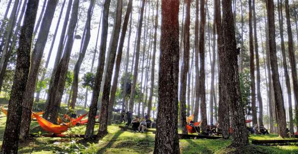 Rute, Jadwal & Harga Tiket Bhisa Shuttle