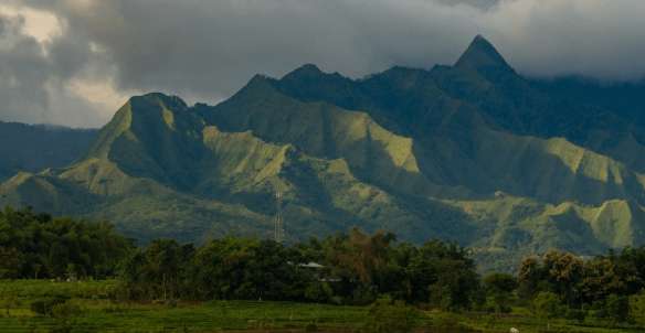 Rute, Harga Tiket & Cara Naik Bus Trans Batam