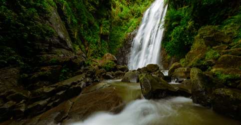 Rute, Harga Tiket & Cara Naik Bus Trans Batam