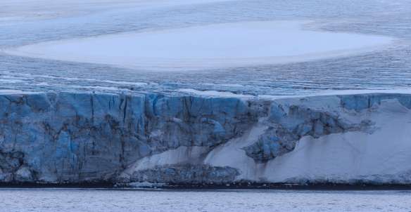 Moshing: Arti serta Bentuk Gerakan Seru-seruan saat Konser Musik!