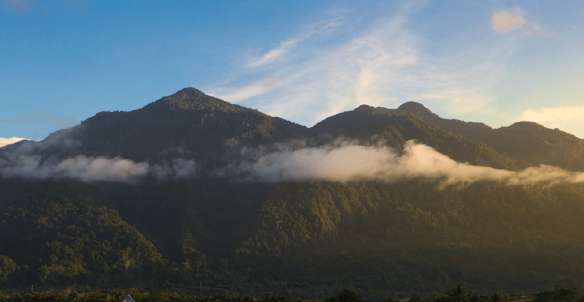Nomor Telepon, Lokasi Pool & Cara Pesan Taksi Blue Bird Bali