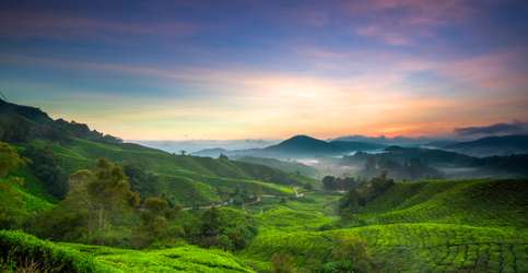 Julukan Kota Jombang: Sejarah, Fakta Unik & Wisata Terpopuler