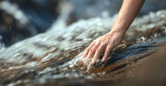 5 Tarian Kalimantan Timur Tradisional yang Perlu Dipahami Maknanya