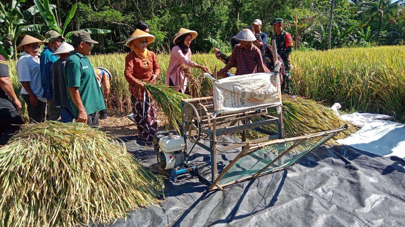 9 Tarian Daerah NTB, dari Tari Lenggo Sampai Tari Nguri