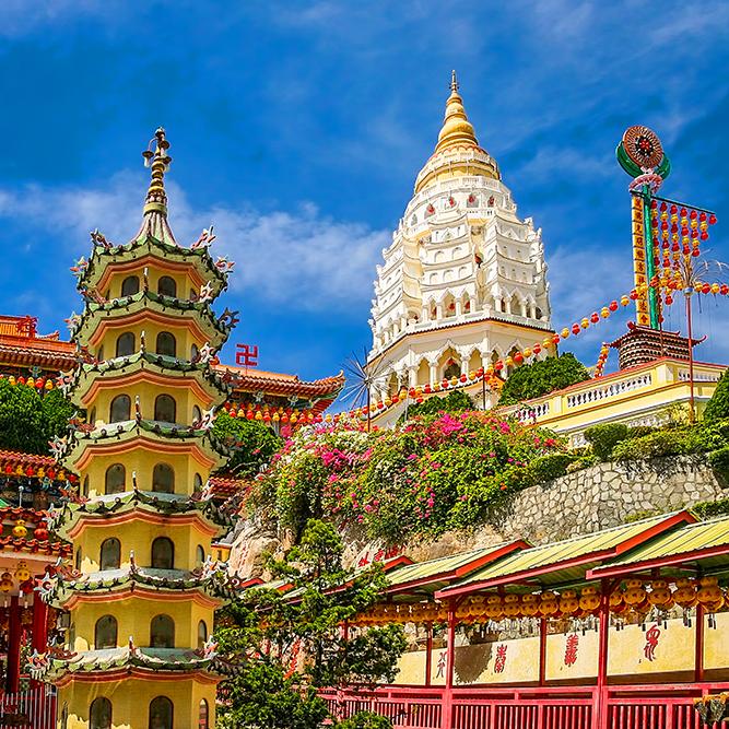 Firefly Flight Booking | Cheap Flight Ticket & Promo