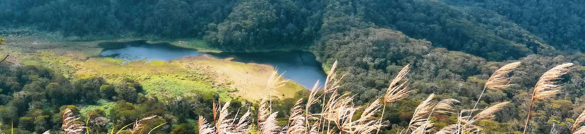 3 Hotels in Maramag, Philippines - Book Hotels Online On Traveloka