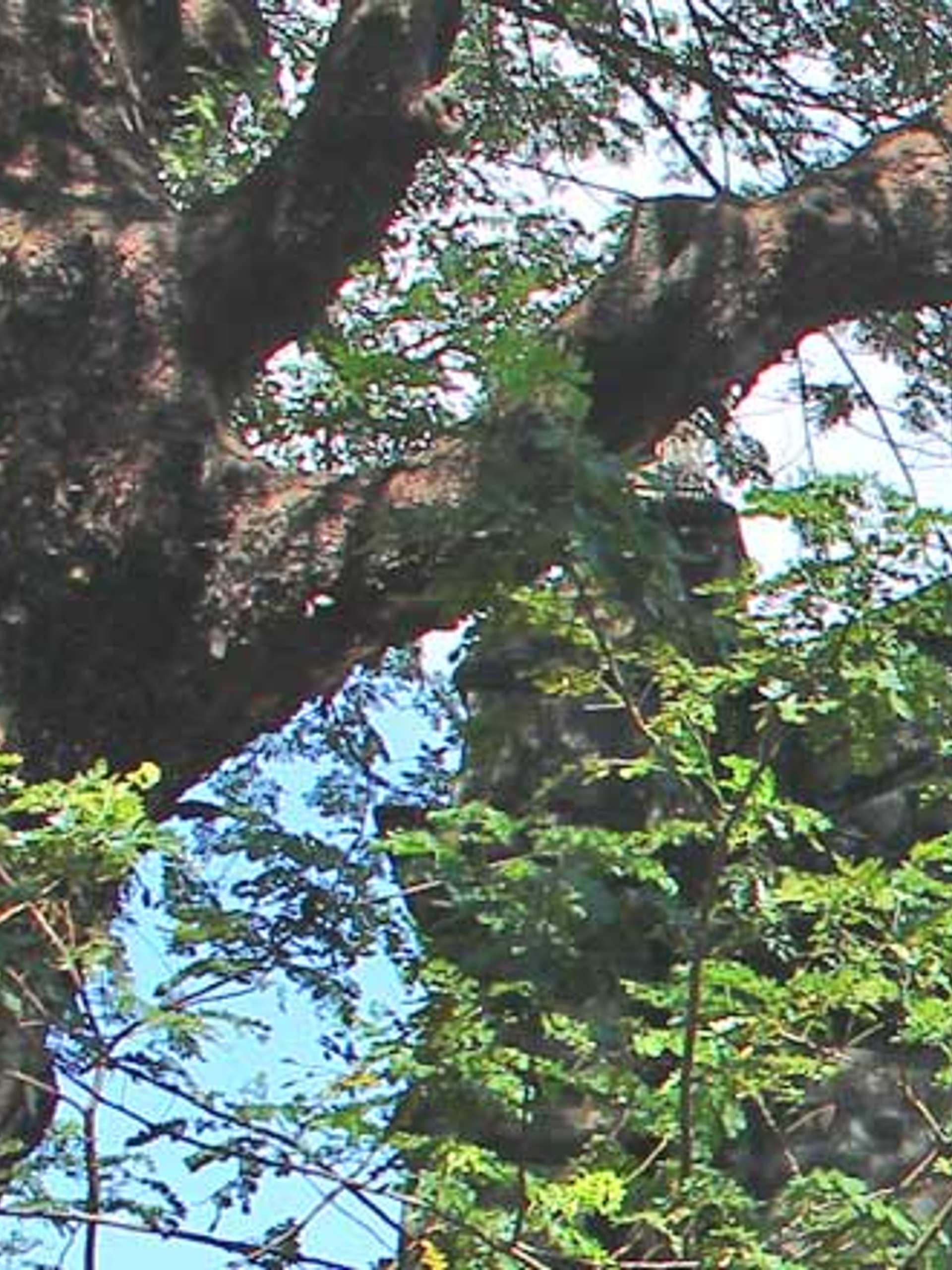 20 BEST Hotels in Cainta, Rizal 2024 - Book Cheap Accommodation