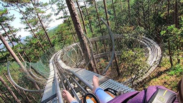 Vé Đu Dây High Rope Course Đà Lạt - Traveloka Xperience