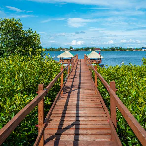 Cheap Flights to Puerto Princesa - Palawan - Ticket Price from ₱ 5,086.71