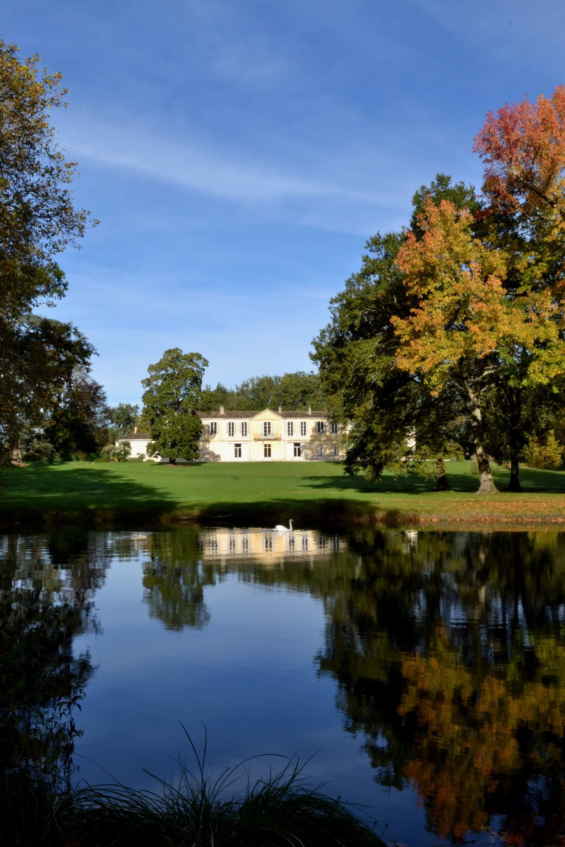 Château Smith Haut Lafitte: 5 Secrets of a Great Graves Wine