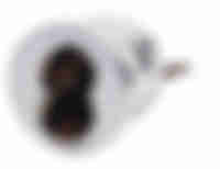 Medeco B SFIC | Medeco Security Locks