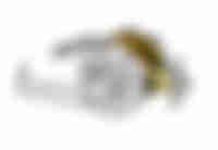 QL Series Cylindrical Levers | Arrow Lock