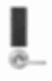 IN100 10X Line | SARGENT