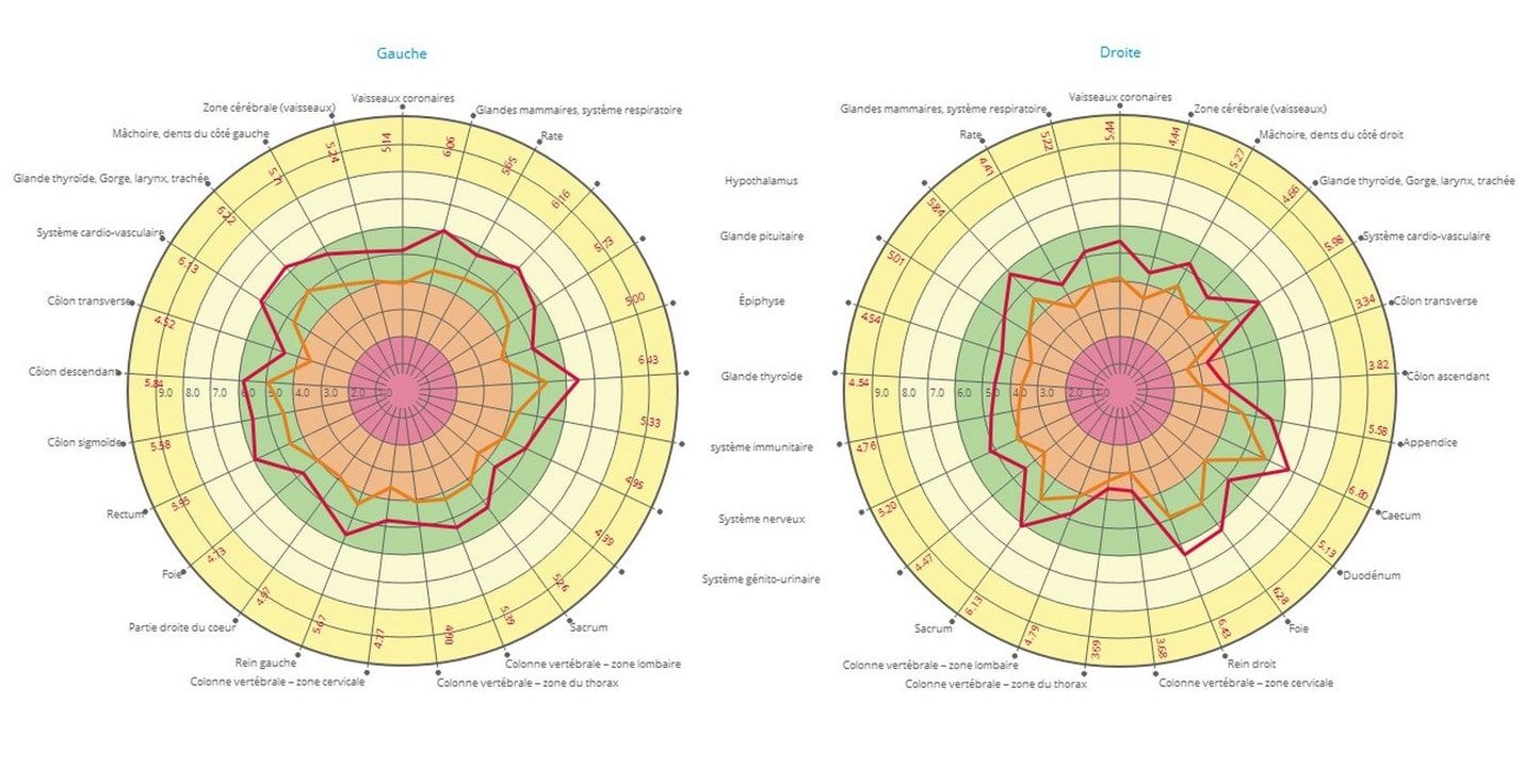 En Pratique, Que faire avec la Mesure Bio-Well