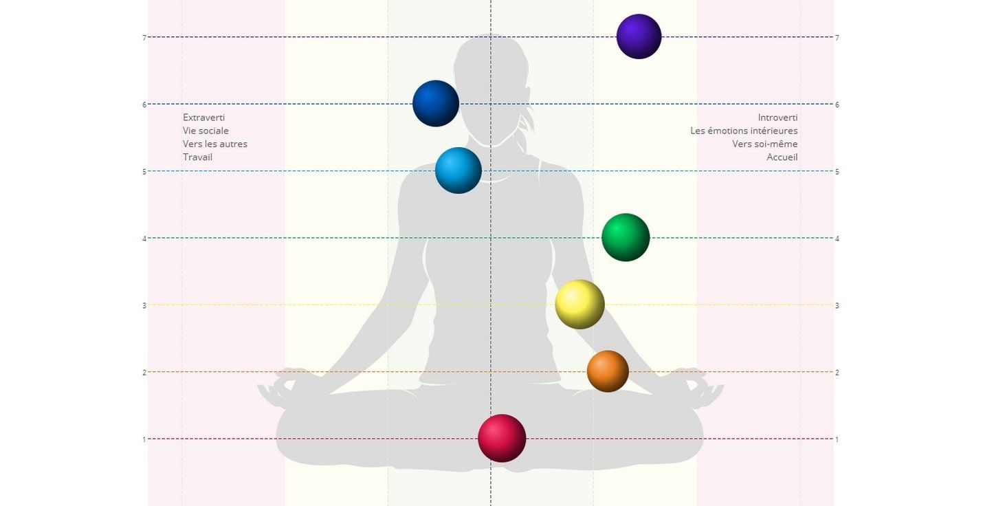En Pratique, Que faire avec la Mesure Bio-Well