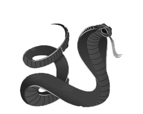 Ashlesha Nakshatra - Feelastro Blog