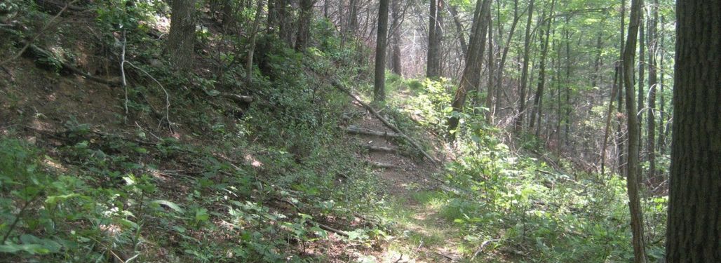 Duncan Ridge Trail - Blairsville , GA 11/22/25