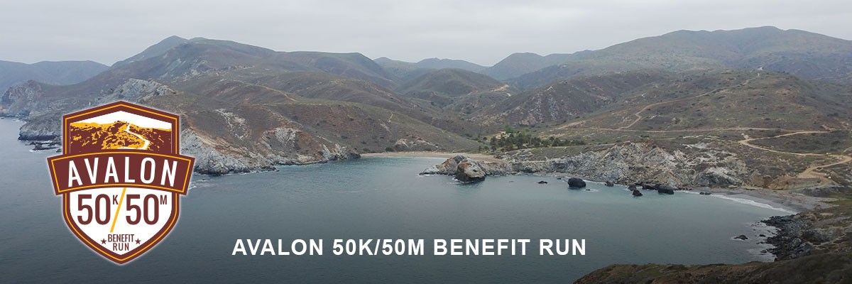 Megan Avalon Wallpaper