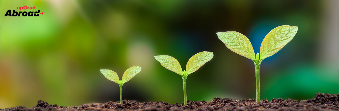 Masters in Environmental Engineering in UAE: Top Universities, Courses ...