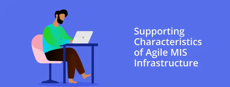 Agile MIS Infrastructure and Its Characteristics