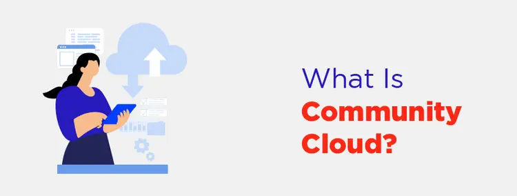 What is Community Cloud? Benefits & Examples with Use Cases