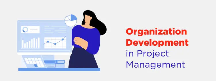 Why Organization Development is Important in Project Management?