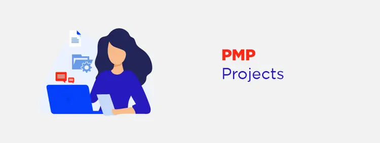 PMP Projects: Types, Classification, and Factors for Success