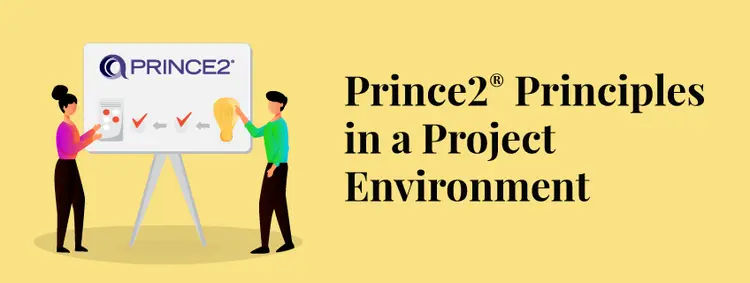 How to Use PRINCE2 For Project Management?