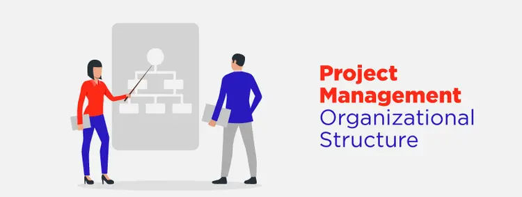 Project Management Organizational Structure: Types and Explanation