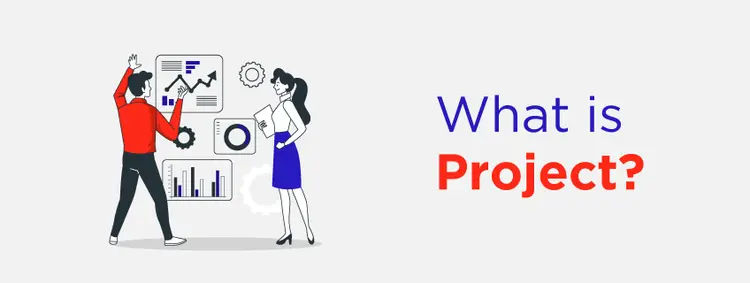 Project in Project Management: Types, Importance and Examples