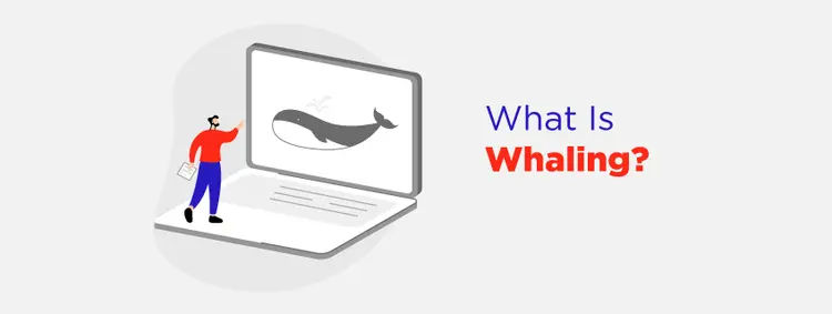 What is Whaling in Cyber Security? [Best Practices + Tips]