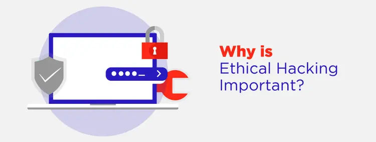 Why is Ethical Hacking Important and How Does It Work?