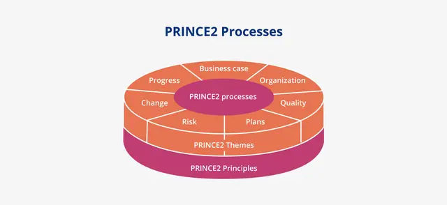 PRINCE2 Process Model: Check Details with Labelled Diagram
