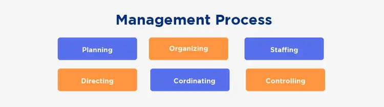 What is Management Process: Features, Functions, Example