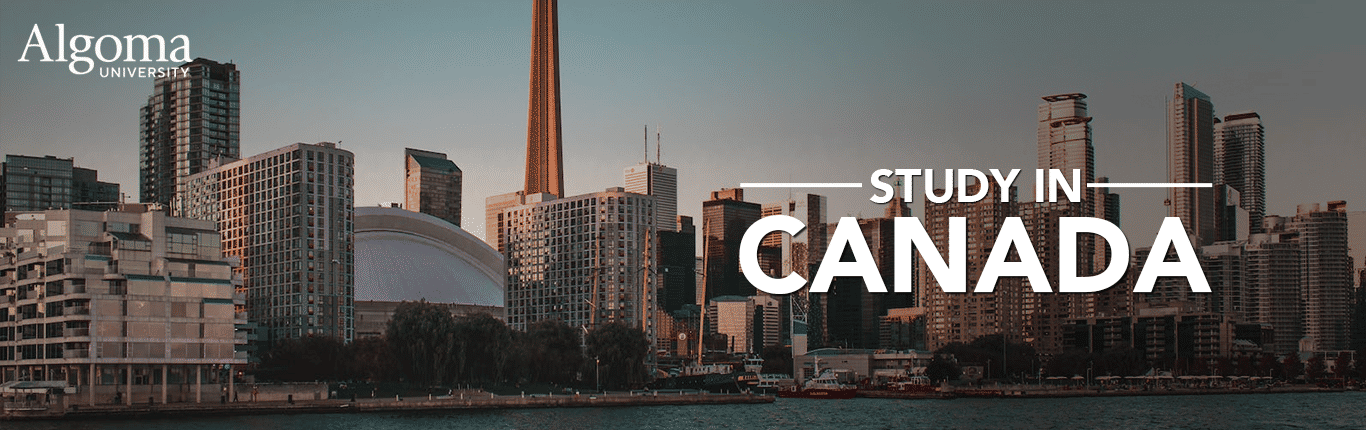 Bachelor of Computer Science From Algoma University, Canada